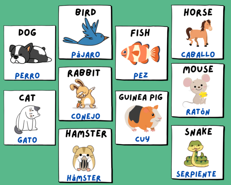 50 Nombres de Animales en inglés y español 🦊