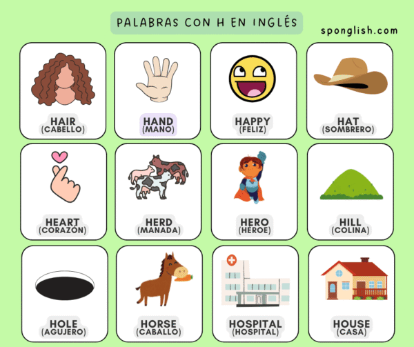 50 Palabras con H en inglés y español